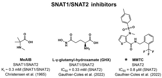 Exploring Amino Acid Transporters as Therapeutic Targets for Cancer: An ...