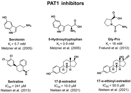 Exploring Amino Acid Transporters as Therapeutic Targets for Cancer: An ...