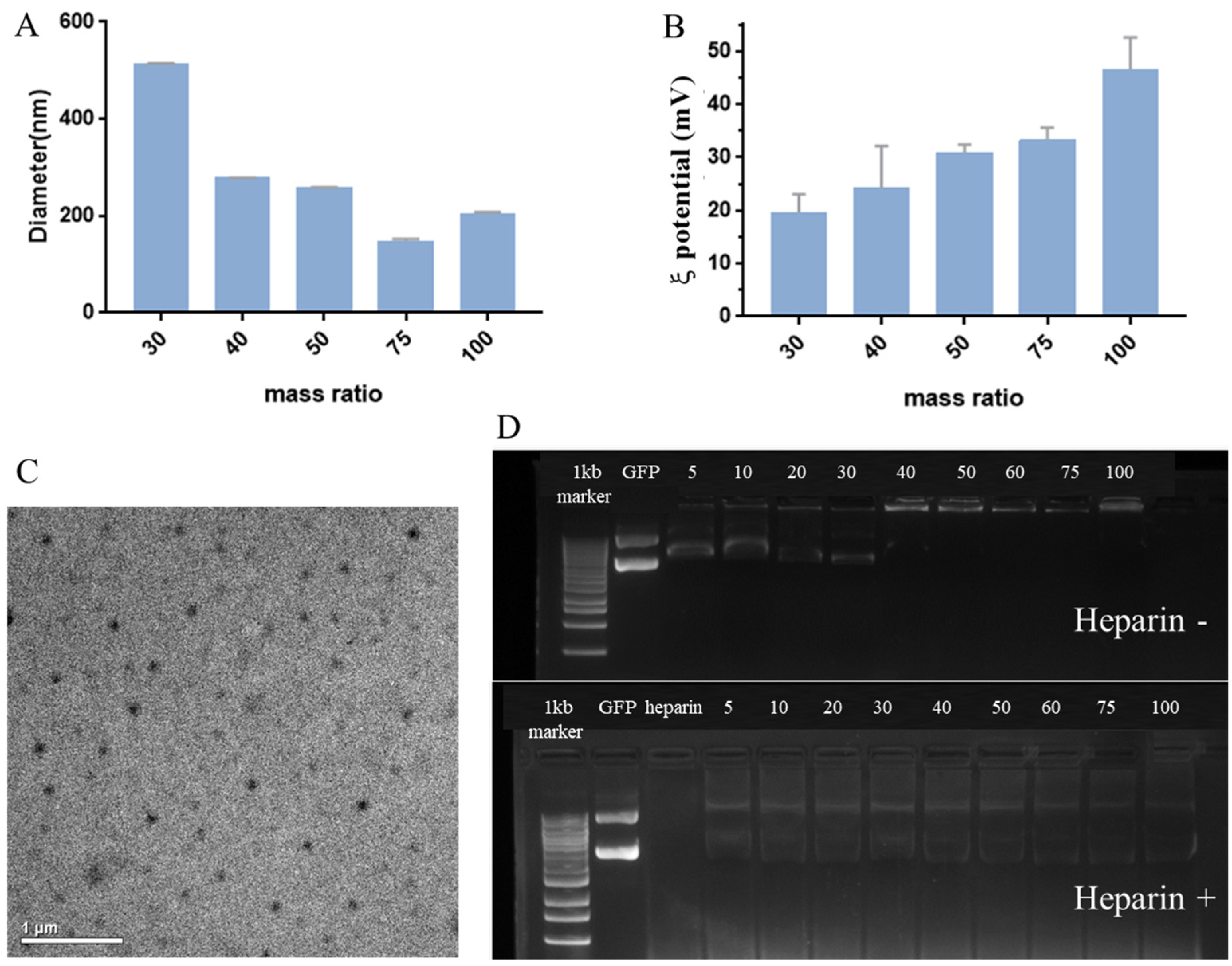 TPGS-b-PBAE Copolymer-Based Polyplex Nanoparticles for Gene Delivery ...