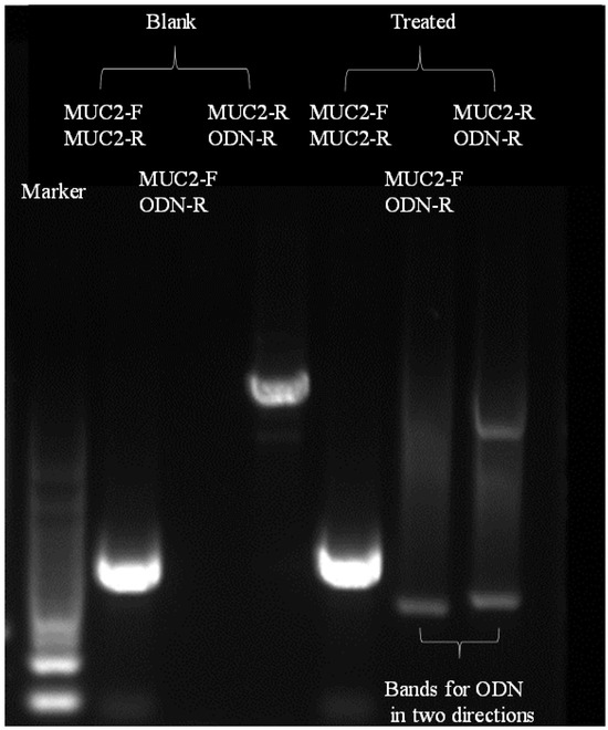 TPGS-b-PBAE Copolymer-Based Polyplex Nanoparticles for Gene Delivery ...