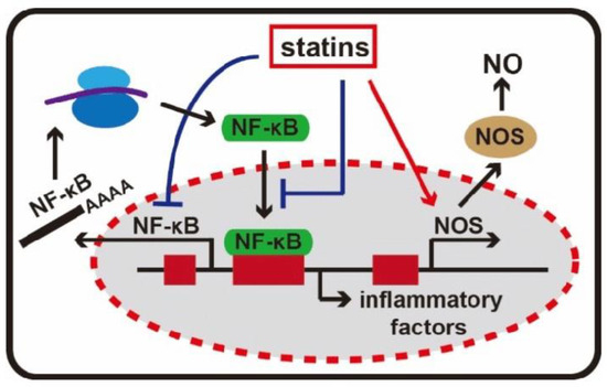 Potential Benefits and Risks Associated with the Use of Statins