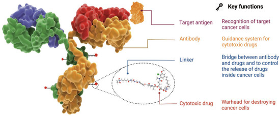 Recent Technological and Intellectual Property Trends in Antibody–Drug ...