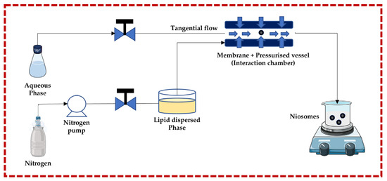 Niosomes: Composition, Formulation Techniques, and Recent Progress as ...