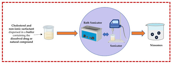 Niosomes: Composition, Formulation Techniques, and Recent Progress as ...