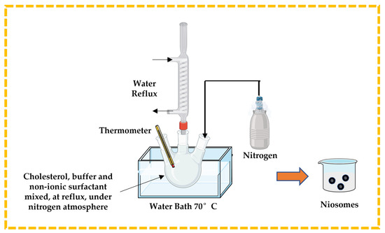 Niosomes: Composition, Formulation Techniques, and Recent Progress as ...