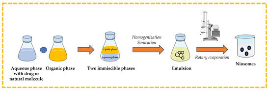 Niosomes: Composition, Formulation Techniques, and Recent Progress as ...