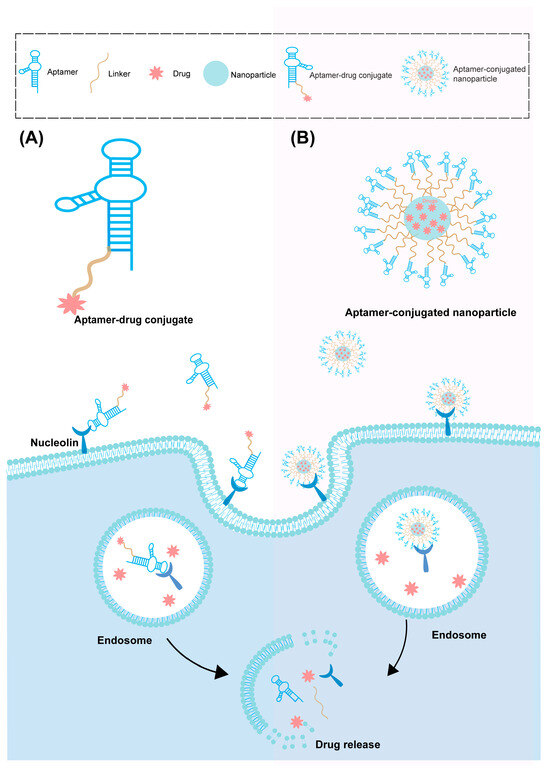 Different Targeting Ligands-Mediated Drug Delivery Systems for Tumor Therapy