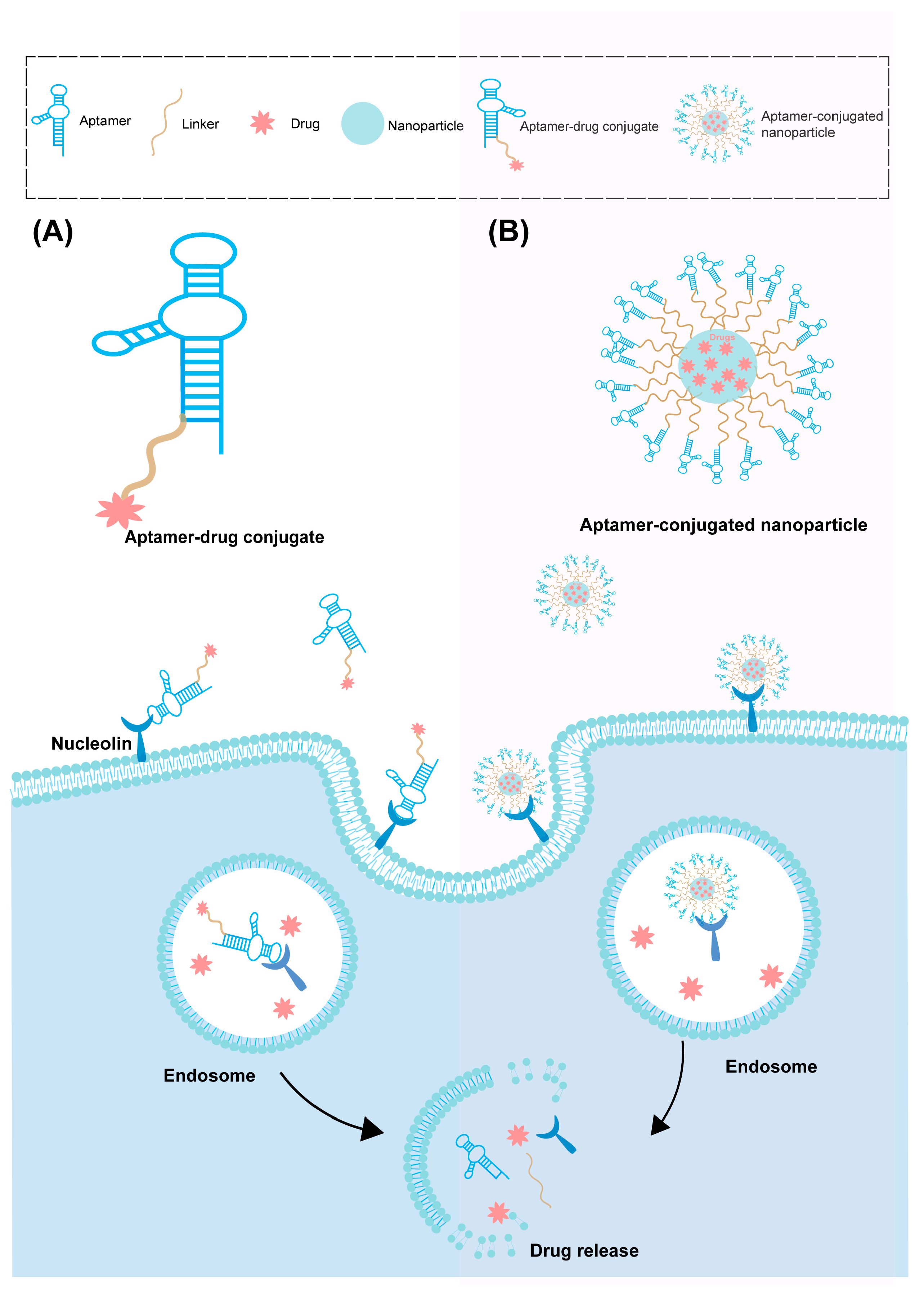 Different Targeting Ligands-Mediated Drug Delivery Systems for Tumor Therapy