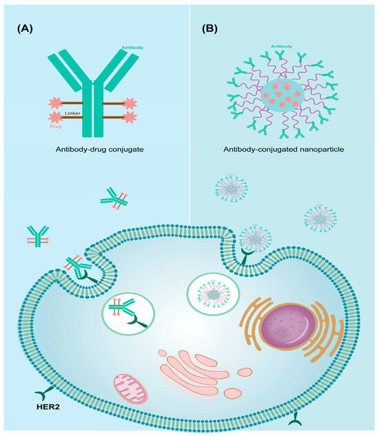 Different Targeting Ligands-Mediated Drug Delivery Systems for Tumor Therapy