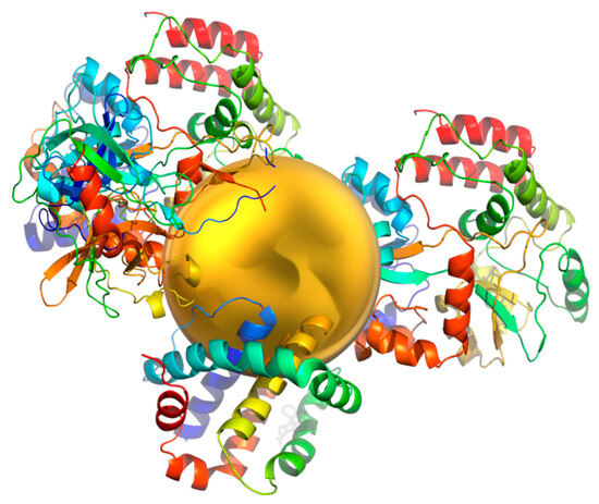 Review of Advances in Coating and Functionalization of Gold ...