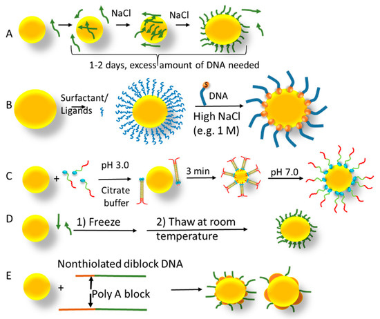 Review of Advances in Coating and Functionalization of Gold ...