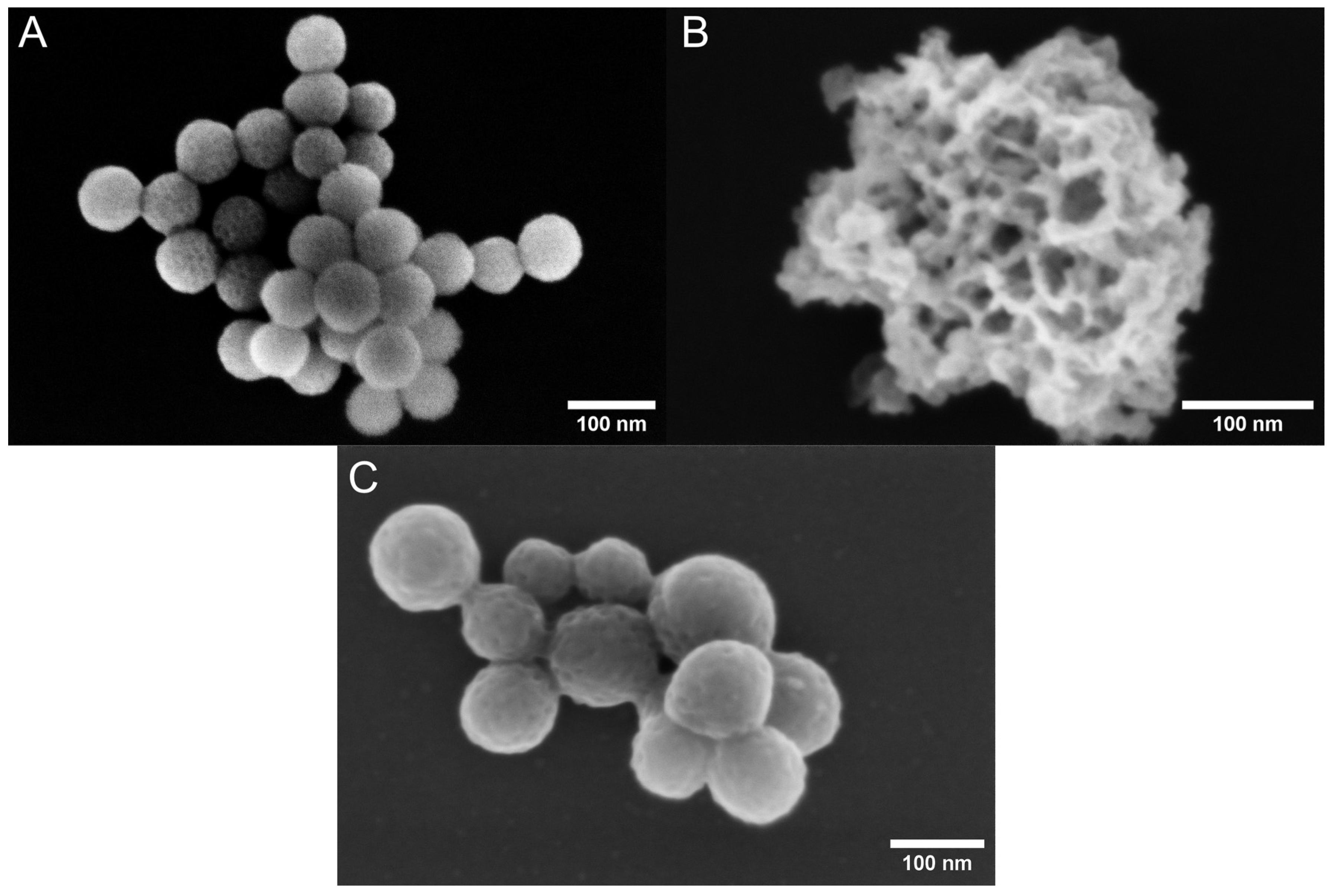Investigating the Effectiveness of Different Porous Nanoparticles as ...