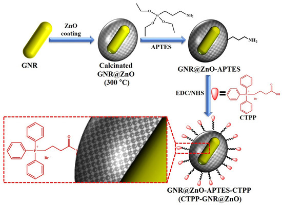 Triphenylphosphonium-Functionalized Gold Nanorod/Zinc Oxide Core–Shell ...