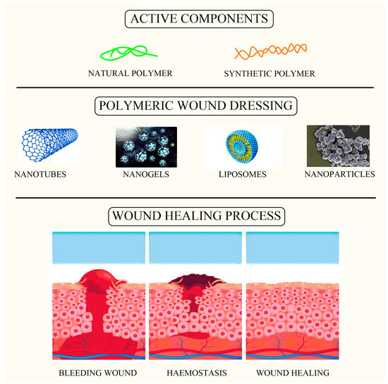 Nanomaterials in the Wound Healing Process: New Insights and Advancements