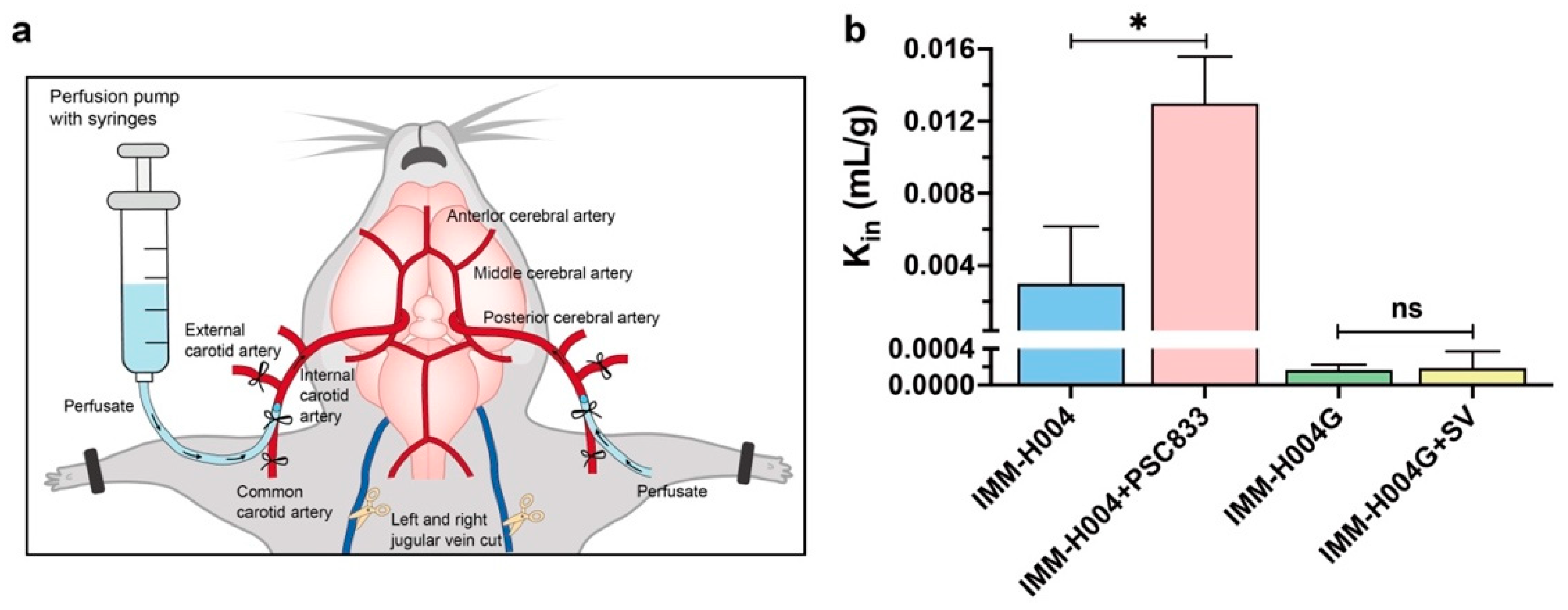 The Active Glucuronide Metabolite of the Brain Protectant IMM-H004 with ...