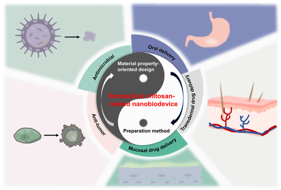 Functional Chitosan and Its Derivative-Related Drug Delivery Systems ...