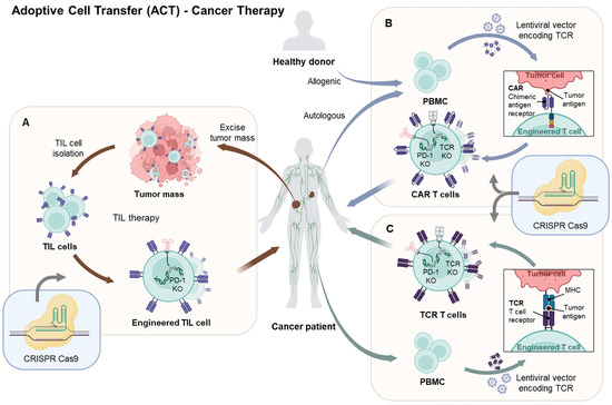 CRISPR/Cas9-Mediated Customizing Strategies for Adoptive T-Cell Therapy