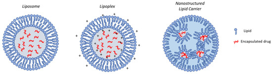 State-of-the-Art Review on Inhalable Lipid and Polymer Nanocarriers ...