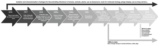 Phage Delivery Strategies for Biocontrolling Human, Animal, and Plant ...