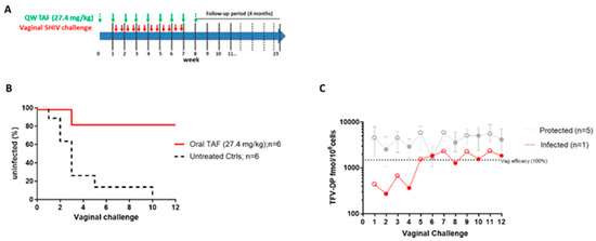 Weekly Oral Tenofovir Alafenamide Protects Macaques from Vaginal and ...