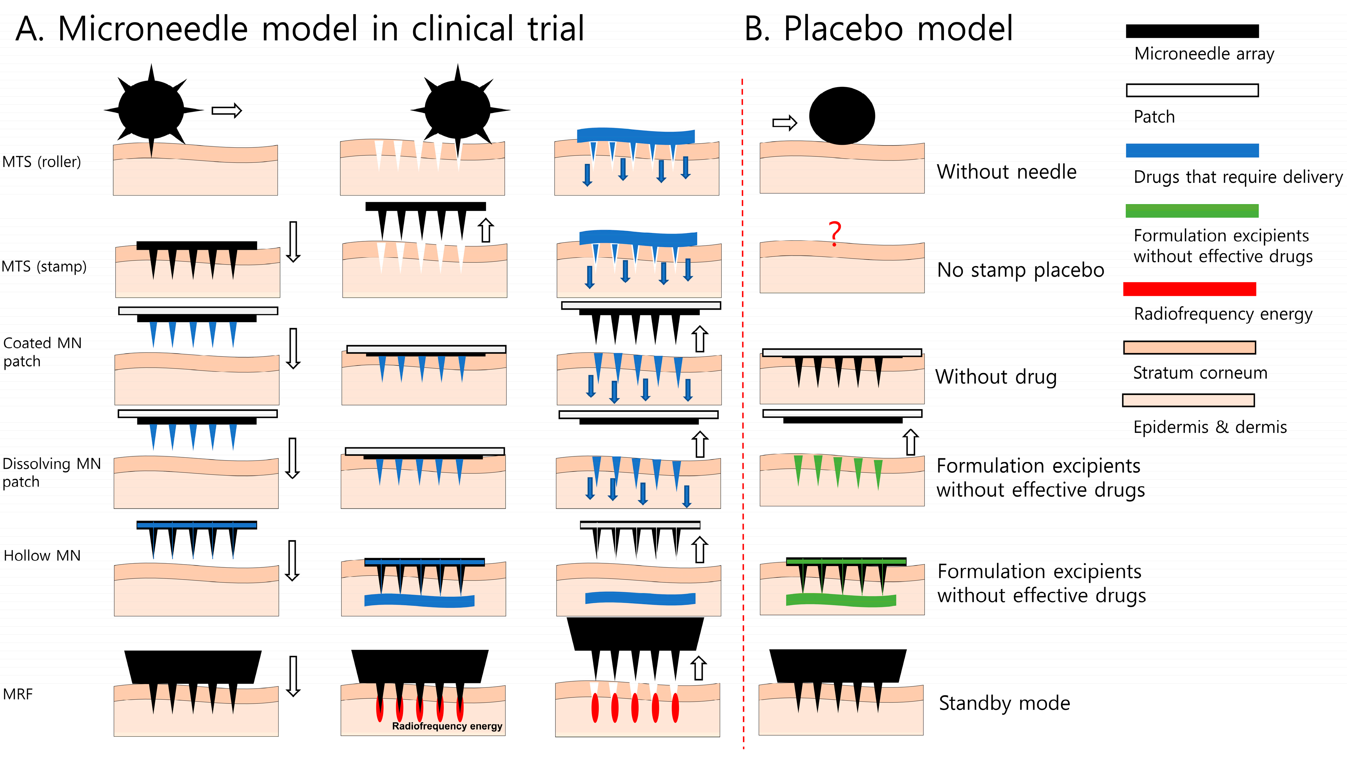 Pharmaceutics | Free Full-Text | Designing a Placebo Microneedle Stamp ...