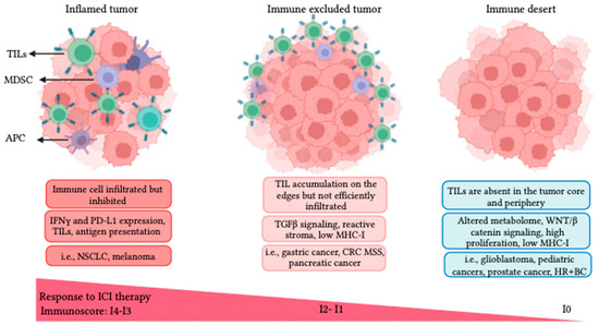Fundamentals and Applications of Focused Ultrasound-Assisted Cancer ...