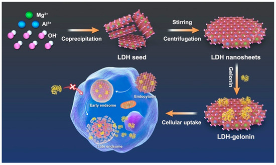 Intracellular Delivery of Therapeutic Protein via Ultrathin Layered ...