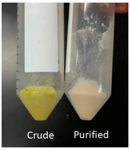 Utilization and Evaluation of Rice Bran and Rice Bran Wax as a Tablet ...