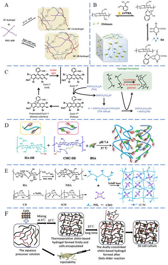 Synthesis and Properties of Injectable Hydrogel for Tissue Filling