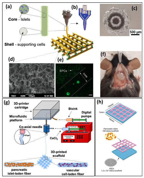 Pharmaceutics | Free Full-Text | Recent Advances in Alginate-Based ...