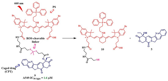 Enhancing Precision in Photodynamic Therapy: Innovations in Light ...