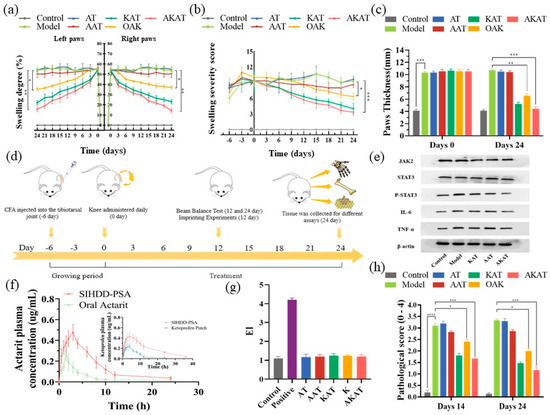 Ionic Liquid Transdermal Patches of Two Active Ingredients Based on ...