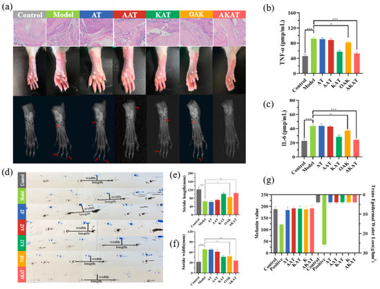 Ionic Liquid Transdermal Patches of Two Active Ingredients Based on ...