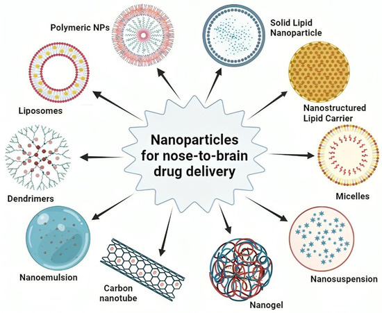 Pharmaceutics | Free Full-Text | Nasal Delivery to the Brain: Harnessing Nanoparticles for ...