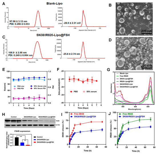 Synergistic Effects of Chemotherapy and Phototherapy on Ovarian Cancer ...