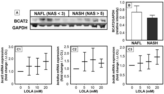 l-Ornithine-l-Aspartate (LOLA) Normalizes Metabolic Parameters in ...