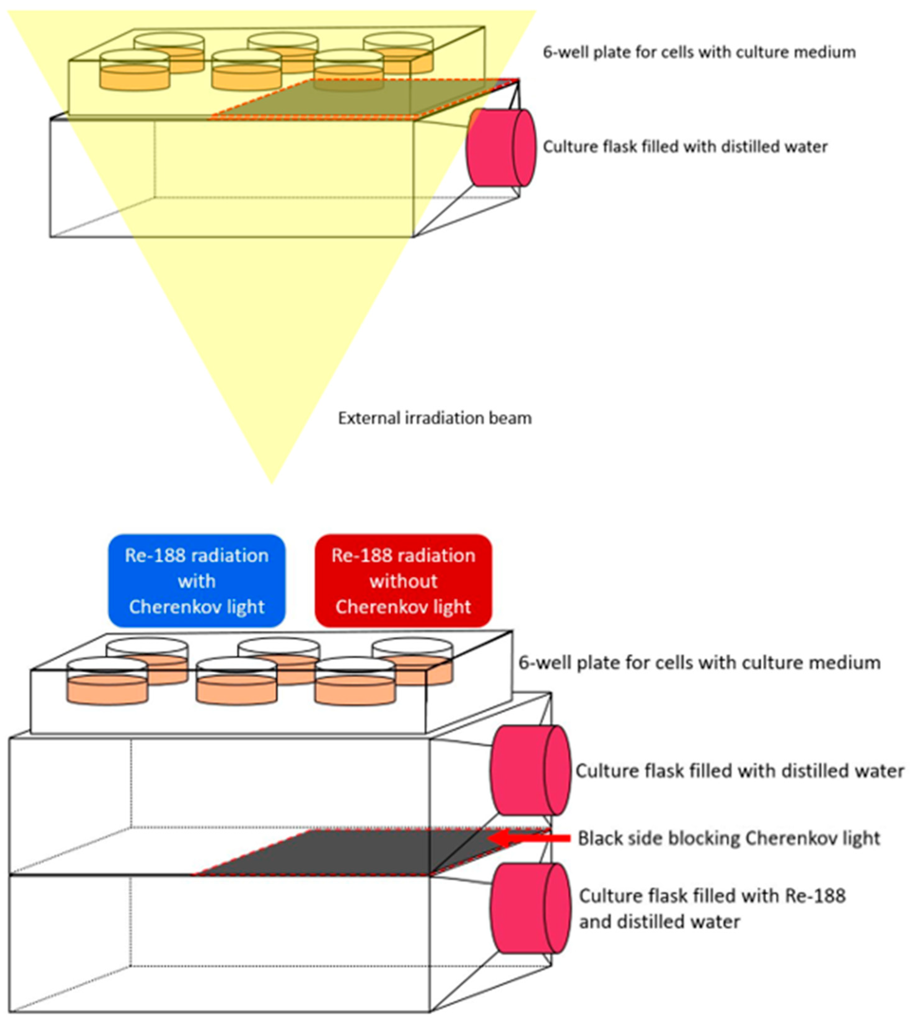 Investigation of Photodynamic Therapy Promoted by Cherenkov Light ...