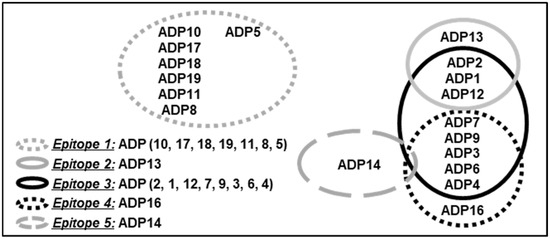 A Novel Class of Human ADAM8 Inhibitory Antibodies for Treatment of ...