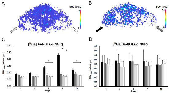 In Vivo Imaging of Acute Hindlimb Ischaemia in Rat Model: A Pre ...