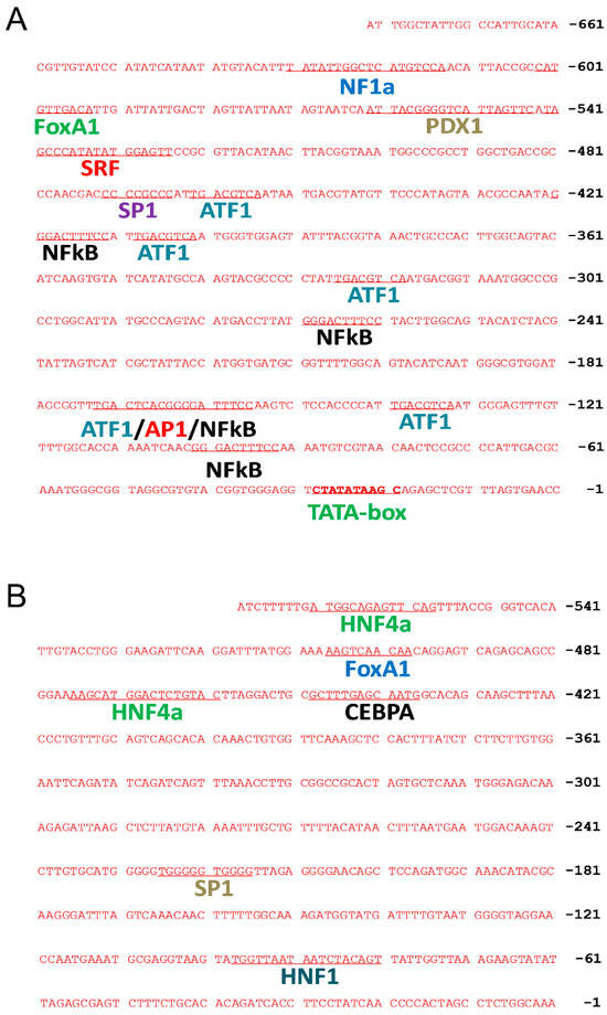 Transcription Factor Binding Site in Promoter Determines the Pattern of ...