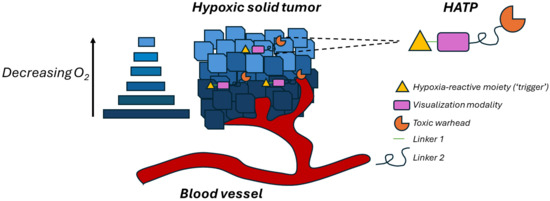 Hypoxia-Activated Theragnostic Prodrugs (HATPs): Current State and ...