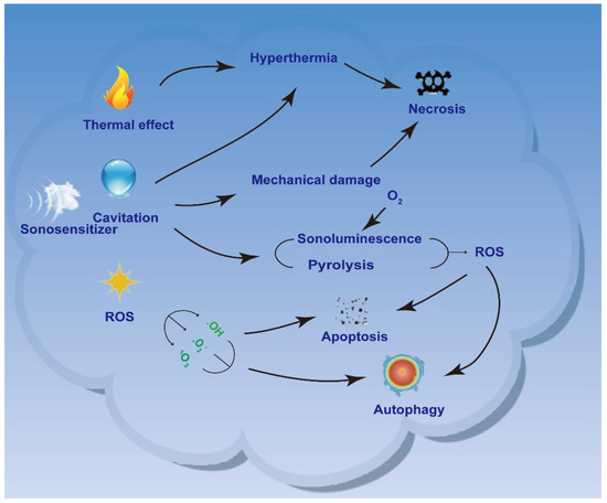 Application of Nanomaterial-Based Sonodynamic Therapy in Tumor Therapy