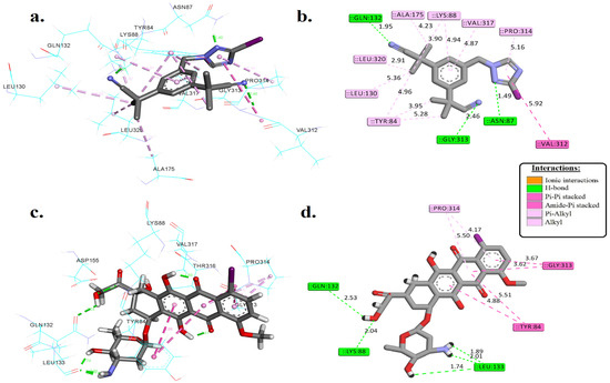 Radiological and Molecular Analysis of Radioiodinated Anastrozole and ...