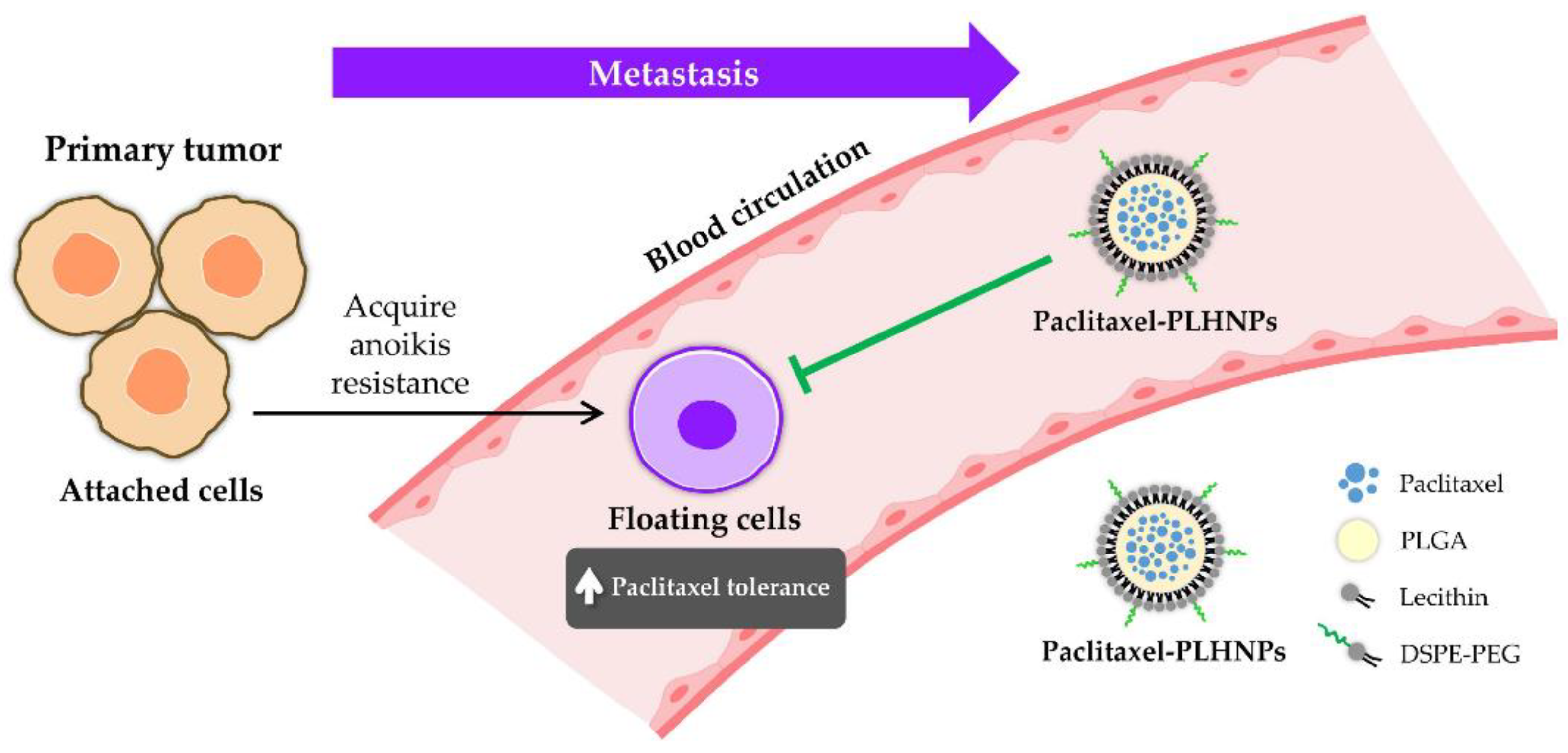 Lipid Nanoparticles in Lung Cancer Therapy