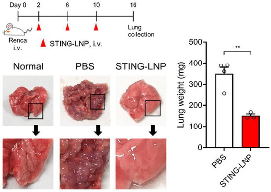 Lipid Nanoparticles in Lung Cancer Therapy