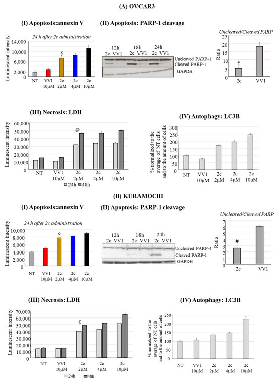In Vitro and In Vivo Evaluation of the Effects of Drug 2c and ...