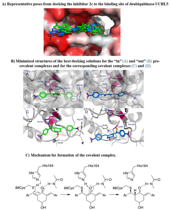 In Vitro and In Vivo Evaluation of the Effects of Drug 2c and ...