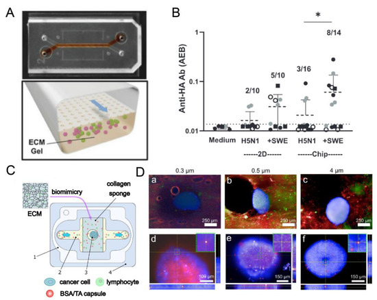 Lymph Node-on-Chip Technology: Cutting-Edge Advances in Immune ...