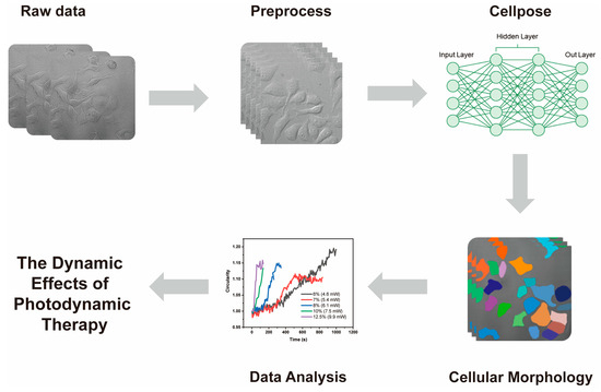 Pharmaceutics | Free Full-Text | Deep Learning Insights into the ...
