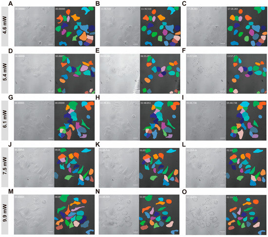 Pharmaceutics | Free Full-Text | Deep Learning Insights into the Dynamic Effects of Photodynamic ...